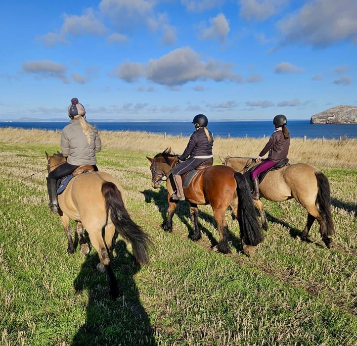 Horse & Ranch Caretaker | Volunteer in the United Kingdom 2026
