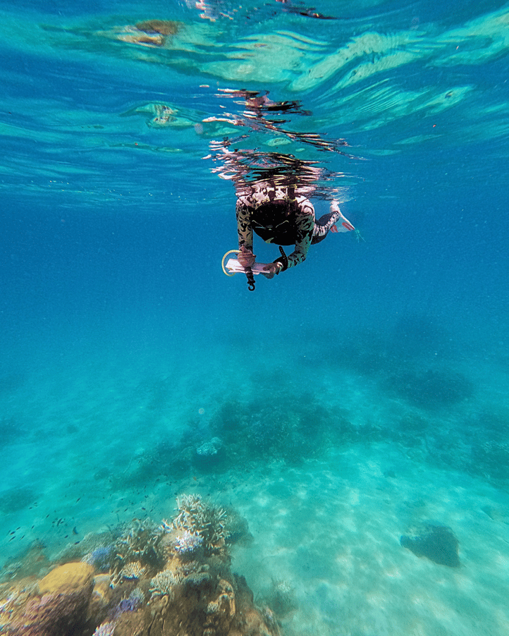 Fieldwork Diploma in Marine Conservation | Volunteer in Australia 2026