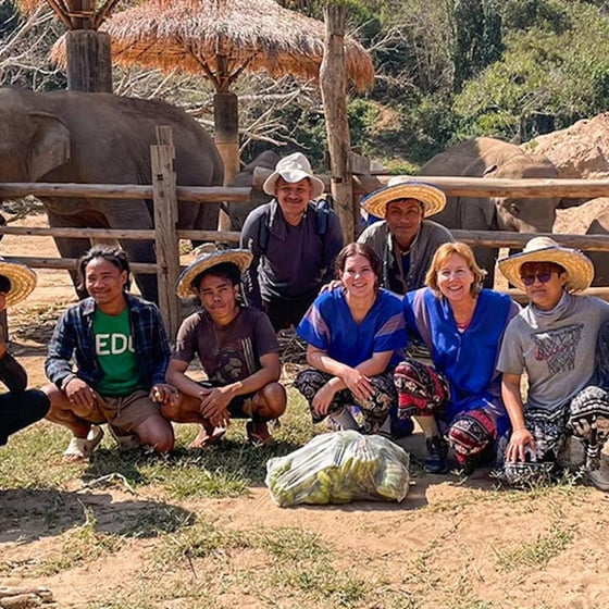 Elephant Welfare | Volunteer in Thailand 2026