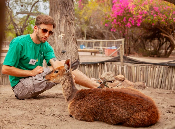 Wildlife Orphanage Animal Manager | Fais du bénévolat en Afrique du Sud ...